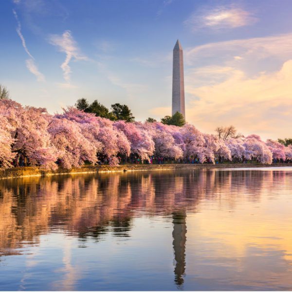 Kimpton George Hotel; a Capitol Hill Gem – Hayley on Hiatus